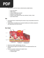 Understanding Burn Depths and Effects | PDF