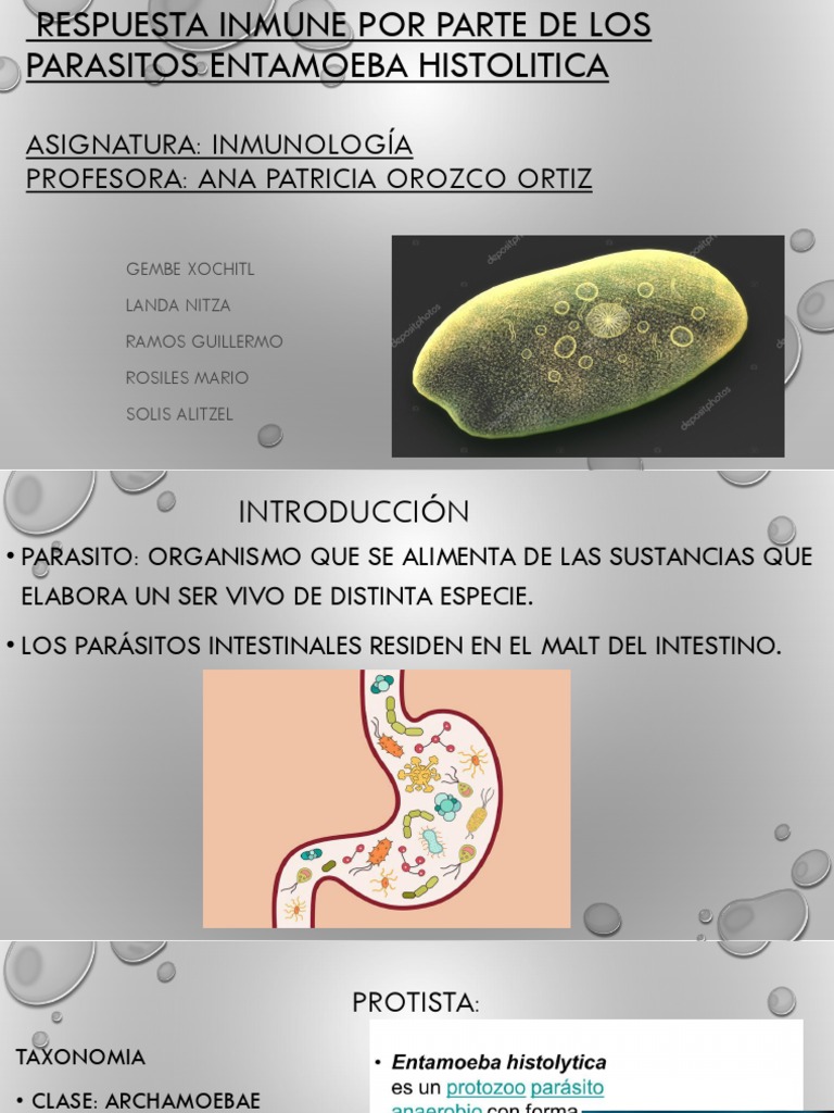 Parasitos Entamoeba Histolytica - Equipo5 | PDF | Sistema inmune | Inmunología
