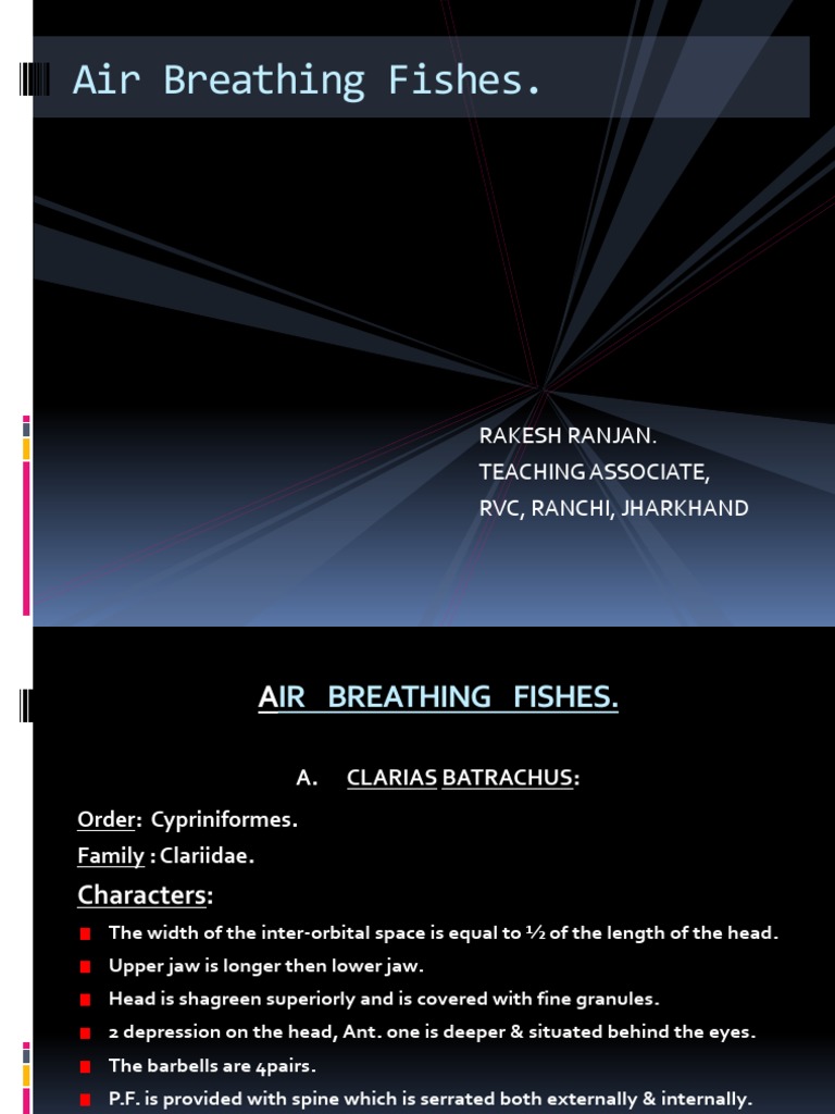 Air Breathing Fishes.: Rakesh Ranjan. Teaching Associate, RVC, Ranchi ...