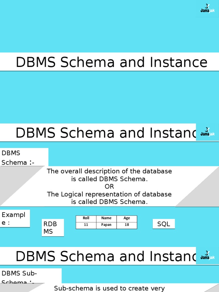 DBMS Schema & Instance | PDF