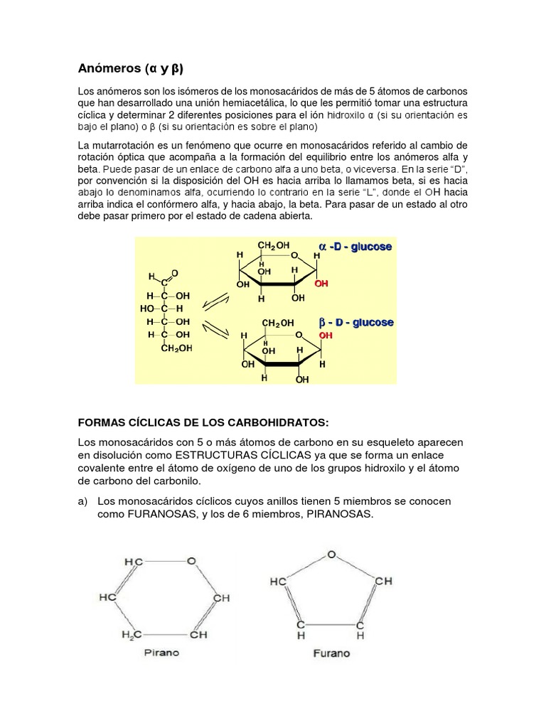 Anómeros | PDF | Carbohidratos | Química de carbohidratos