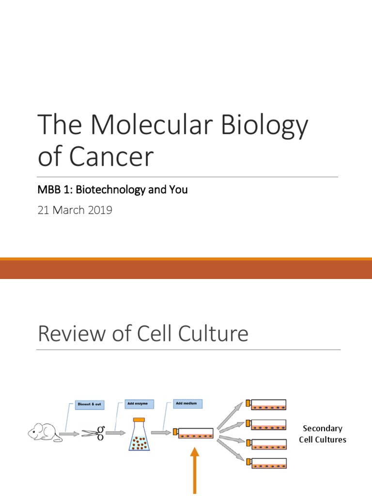 07 The Molecular Biology of Cancer | PDF | Apoptosis | Carcinogenesis