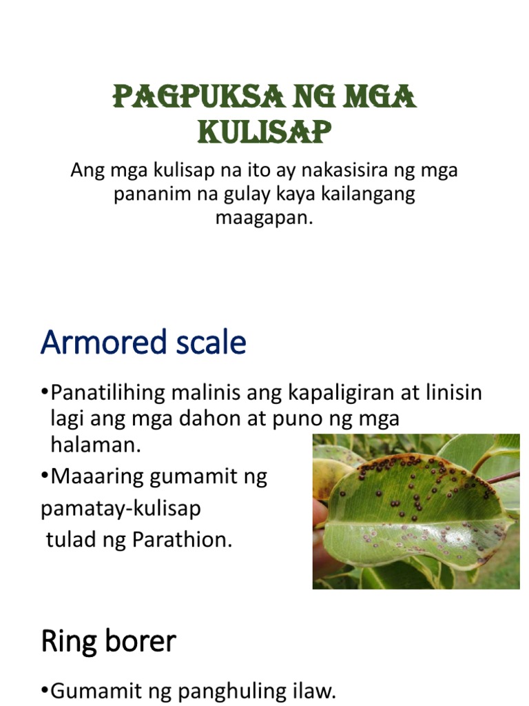 Pagpuksa NG Mga Kulisap | PDF