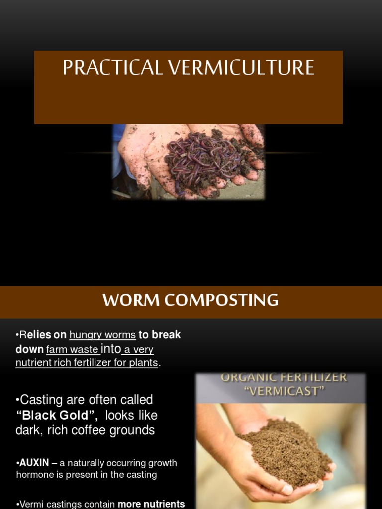 Vermiculture | PDF | Compost | Agriculture