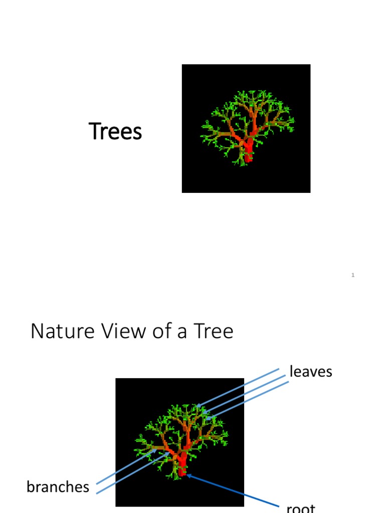 Trees in C++ | PDF | Mathematical Logic | Information Retrieval