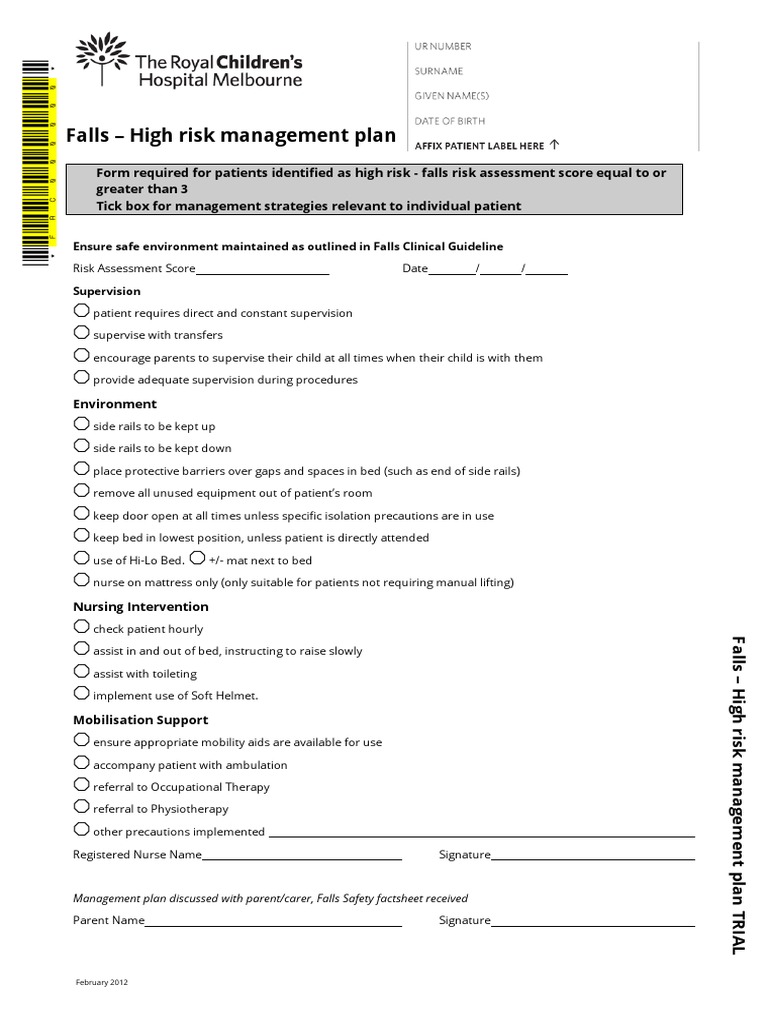Falls - High Risk Management Plan 2202 | PDF