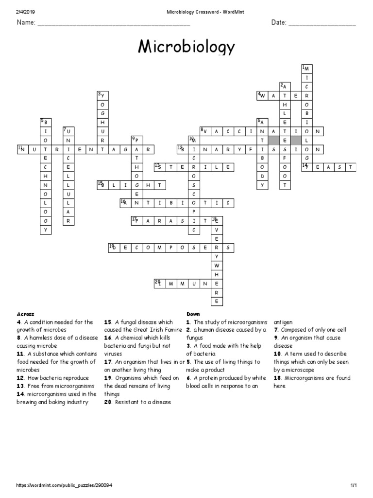 Microbiology Crossword - WordMint Ans | PDF | Microorganism | Microbiology