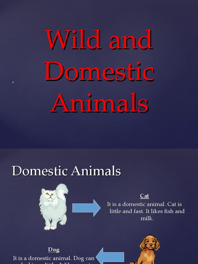 Wild Animals PPT For Small Kids | PDF | Goat | Mouse