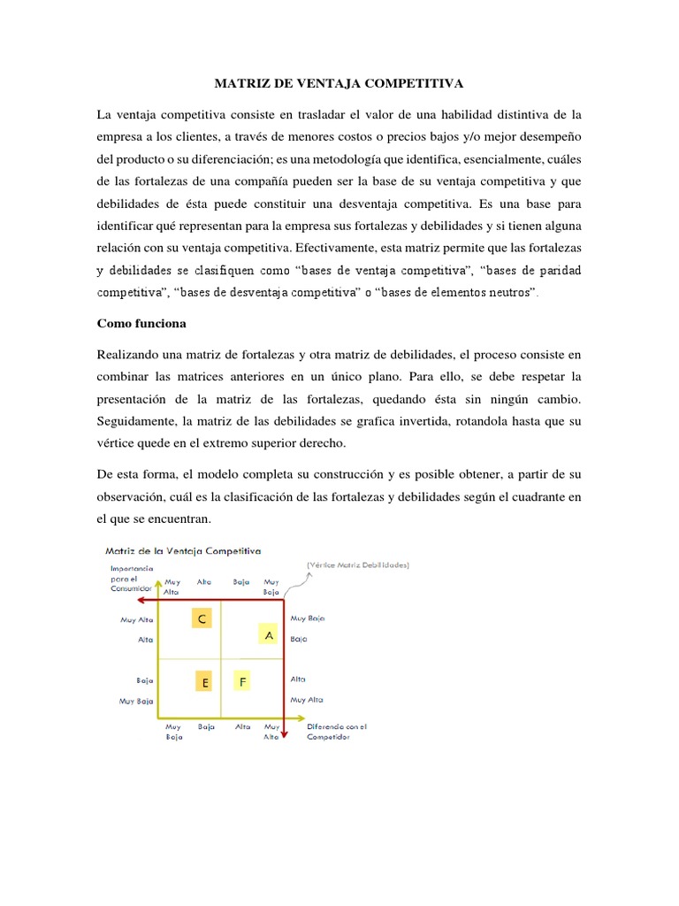 Matriz de Ventaja Competitiva | PDF | Ventaja competitiva | Matriz ...