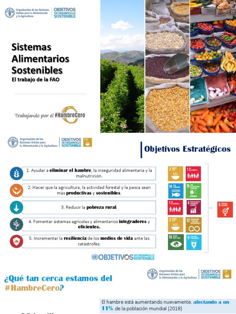 Sistemas Alimentarios Sostenibles | Organización de Comida y Agricultura | Alimentos
