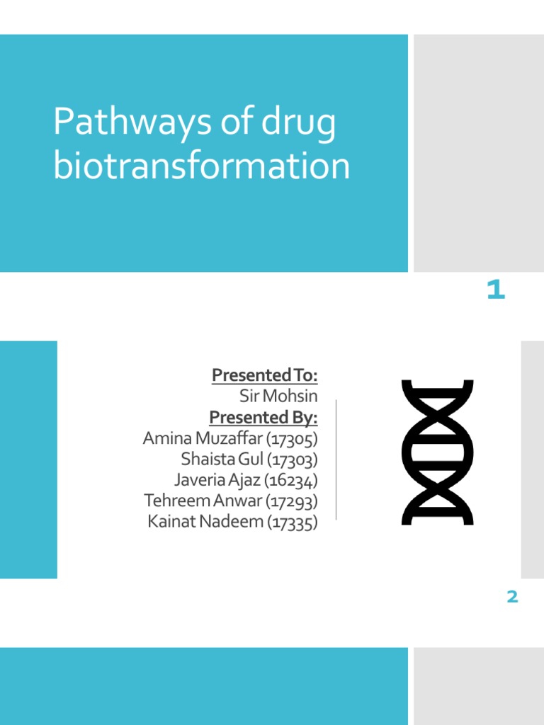 Pathways of Drug Biotransformation | PDF | Drug Metabolism | Functional ...