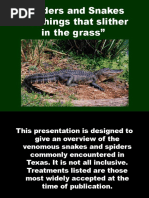 Awareness Safety Talk SNAKE HAZARDS | PDF | Snake | Venomous Snakes