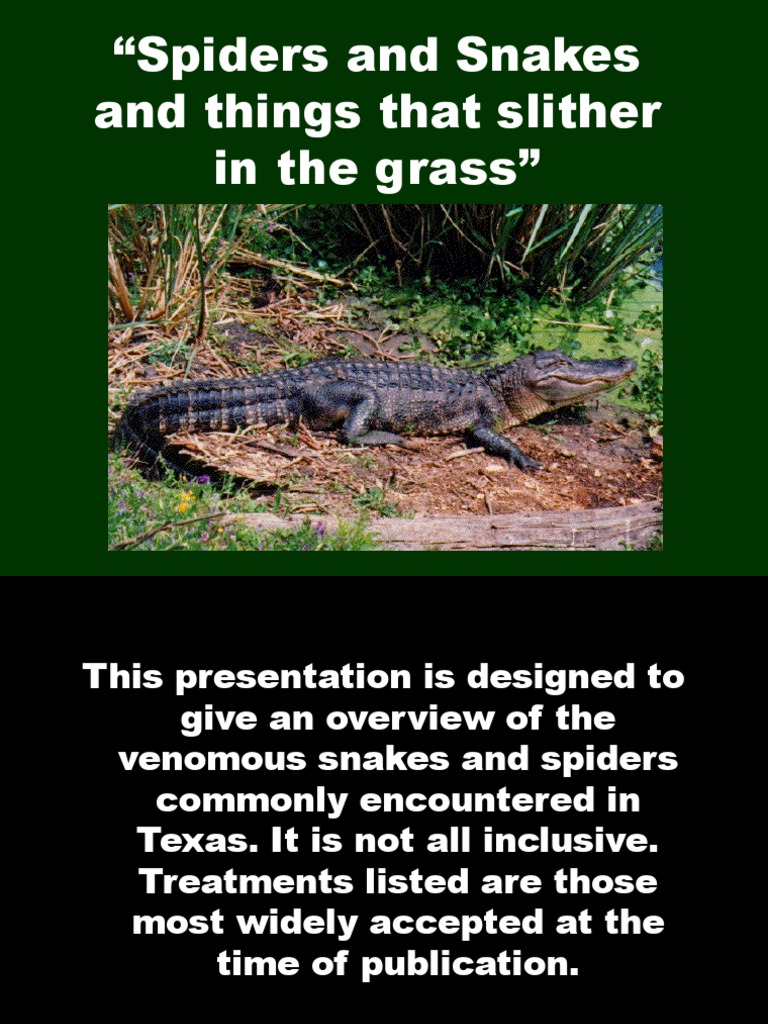 Spiders and Snakes and Things That Slither in The Grass | PDF ...