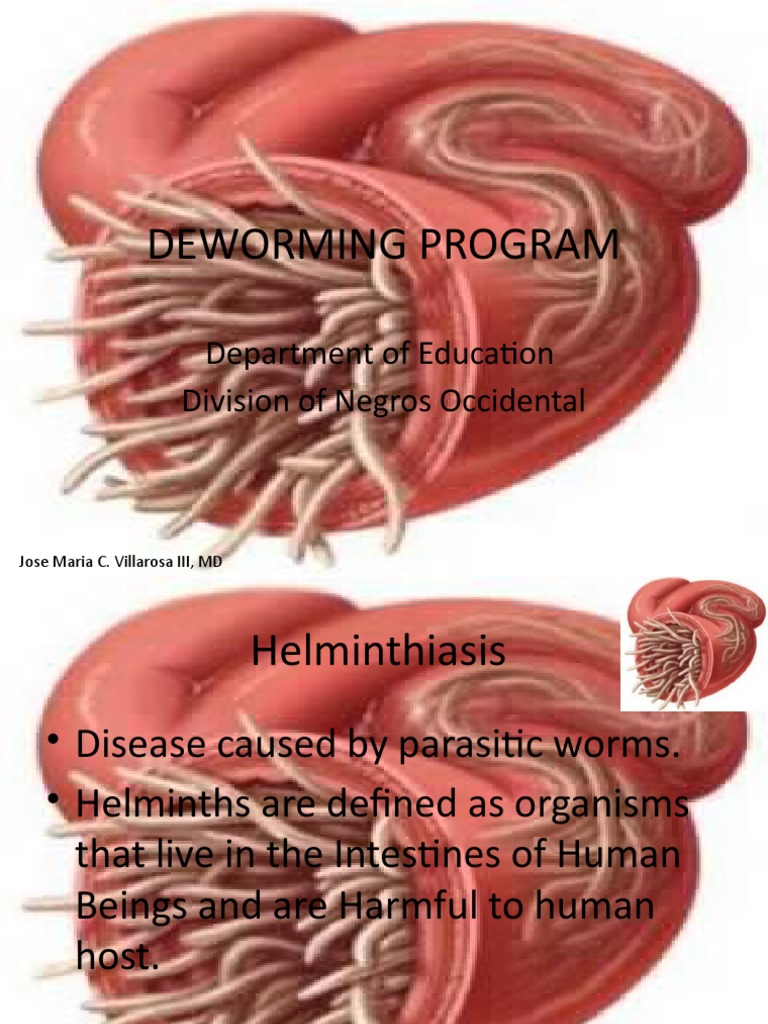 Deworming Program For Students | PDF | Public Health | Parasites