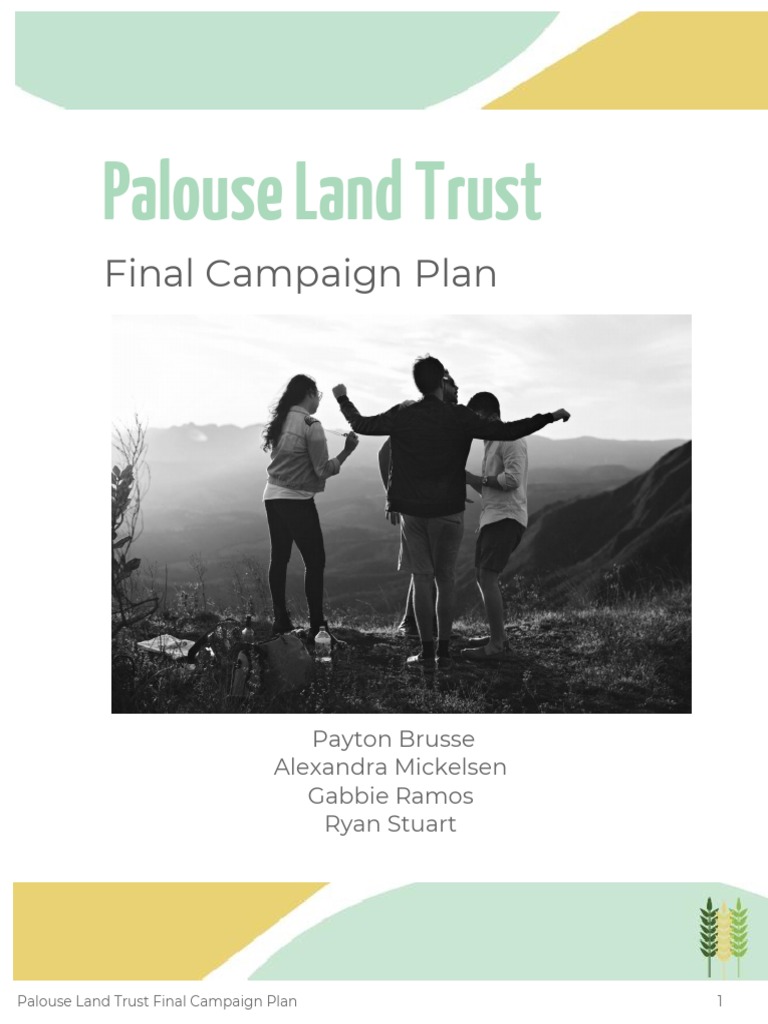 Final Campaign Book | PDF | Social Media | Popular Culture & Media Studies