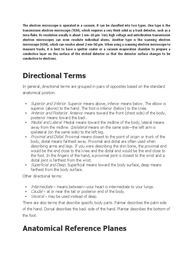 Directional Terms | PDF | Anatomical Terms Of Location | Abdomen