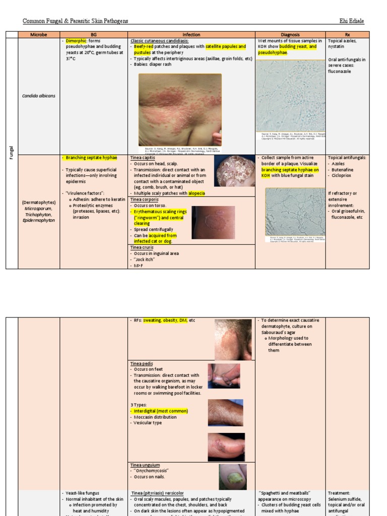 Skin Pathogens | Download Free PDF | Candidiasis | Animal Diseases