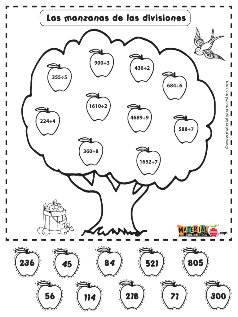 Divisiones Recortar PDF | PDF