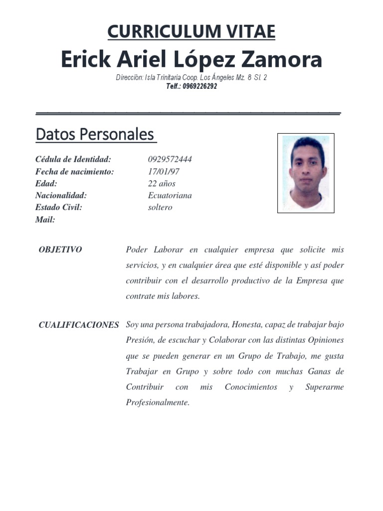 Curriculum Vitae Ariel | PDF