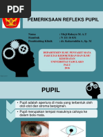 Pupil Isokor dan Anisokor: Penjelasan | PDF