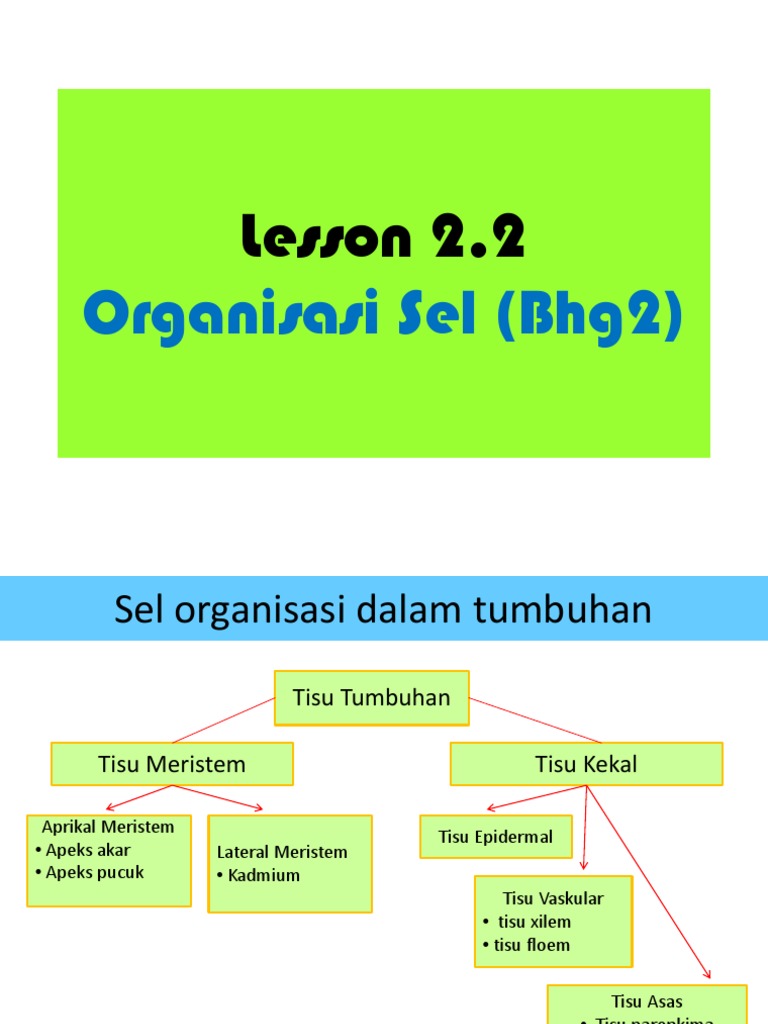 Bio F4 Notes (BAB 2 - Struktur Dan Organisasi Sel) | PDF
