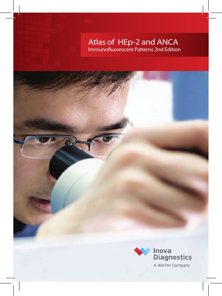 Atlas Patrones ANA | PDF | Cell Nucleus | Mitosis