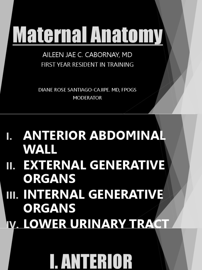 Maternal Anatomy Report | PDF | Uterus | Vagina