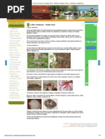 Triptico de Tumbes | PDF