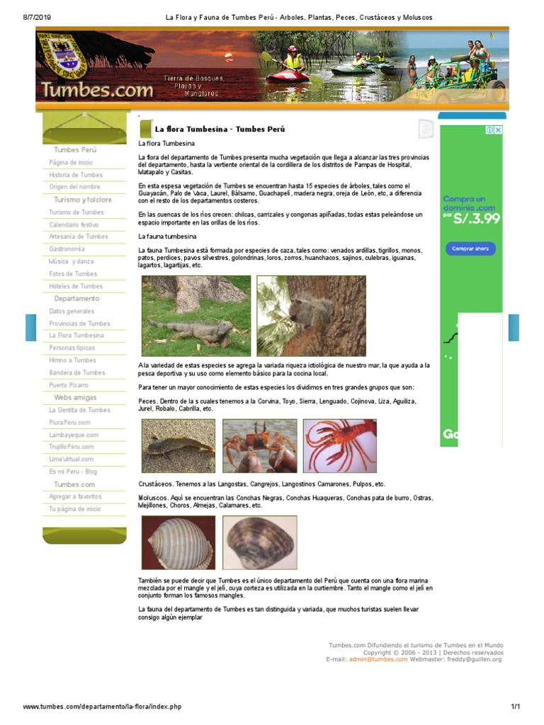 La Flora y Fauna de Tumbes Perú - Arboles, Plantas, Peces, Crustáceos y ...
