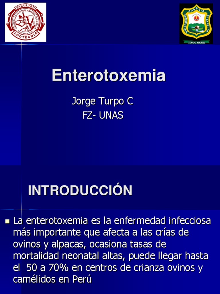 Enterotoxemia | PDF | Diarrea | Leche
