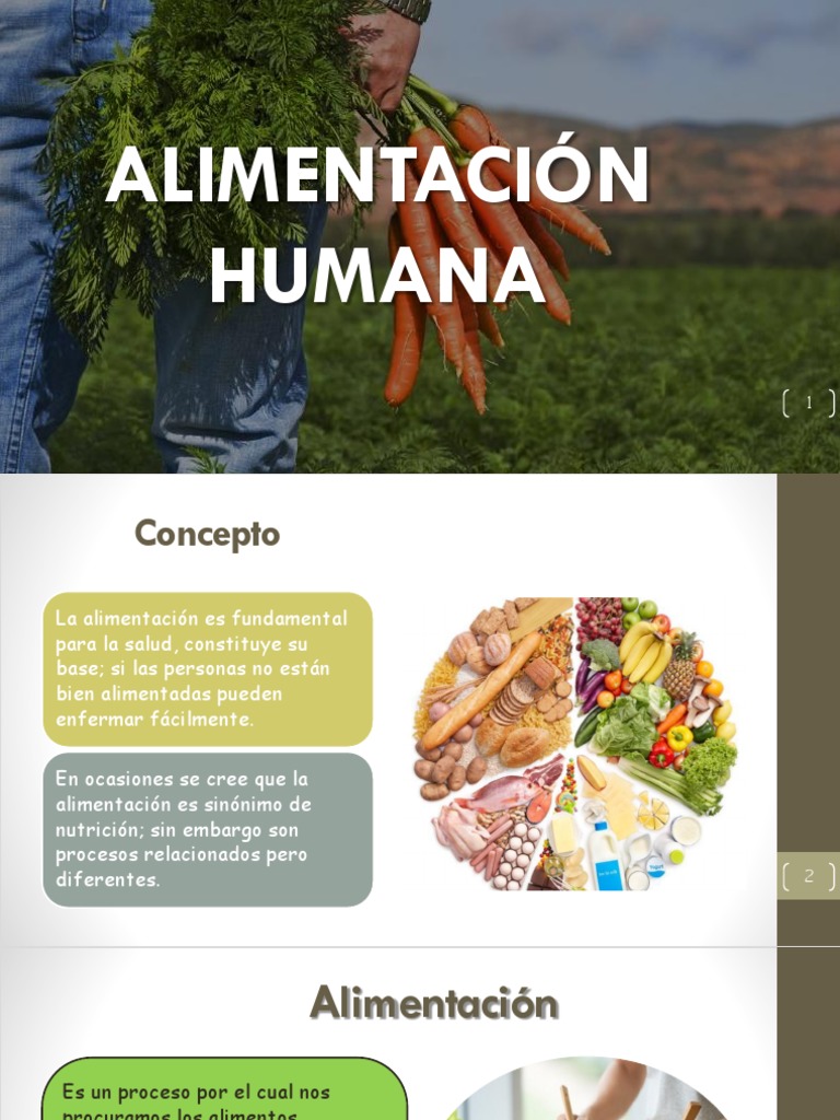 Alimentación y Salud Humana | PDF | Alimentos | Nutrición