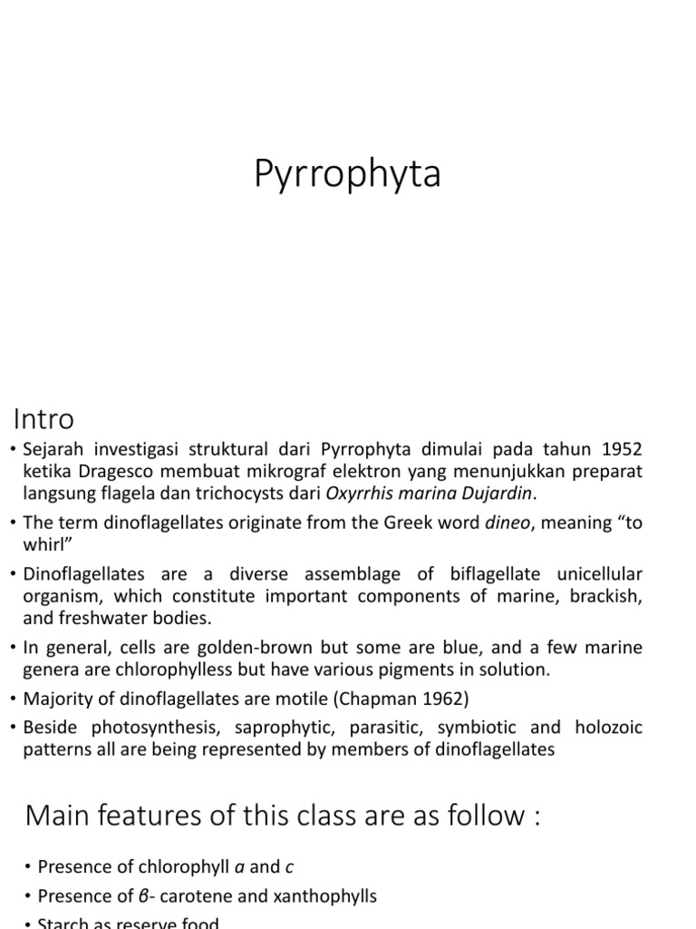 Pyrrophyta | PDF | Chloroplast | Cell Nucleus