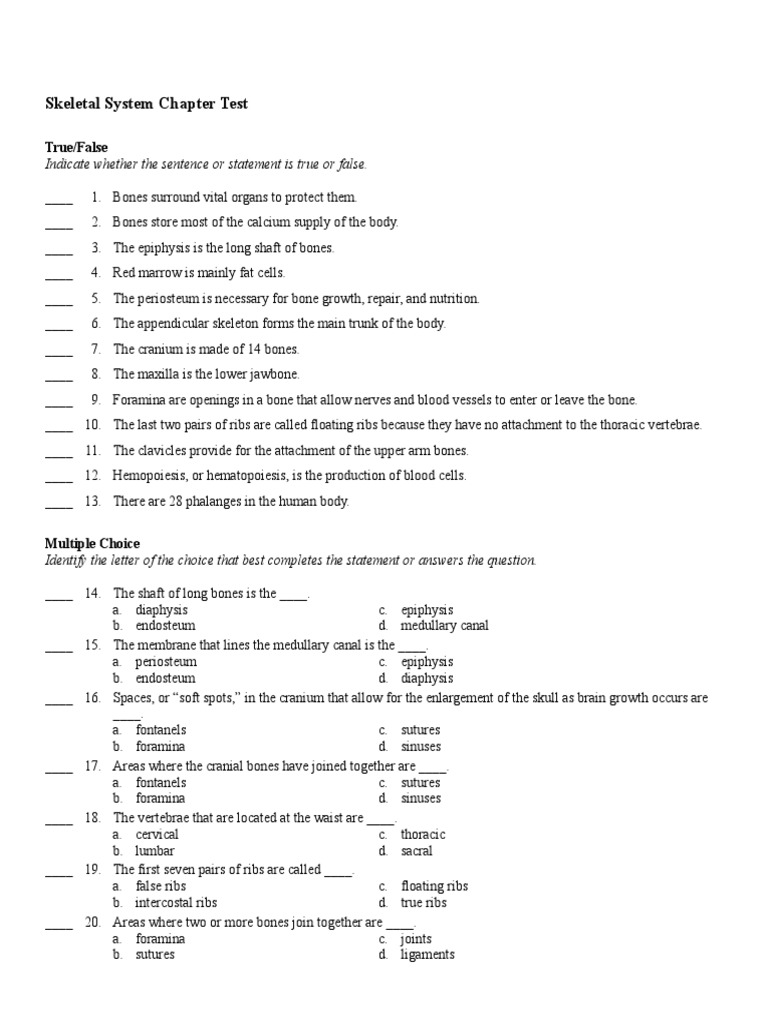 Skeletal System Chapter Test Practice | PDF | Vertebral Column | Bone