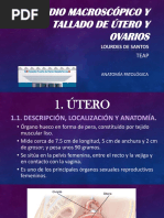 MDQ (Mood Disorder Questionnaire) | PDF | Desorden bipolar ...