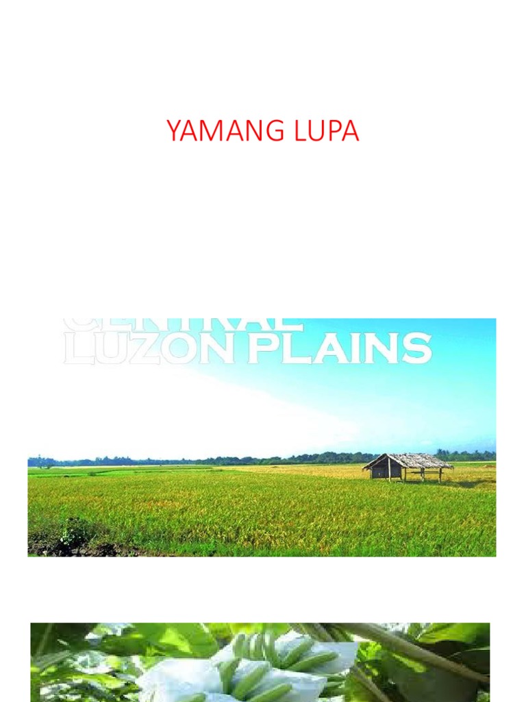 Yamang LUpa | PDF