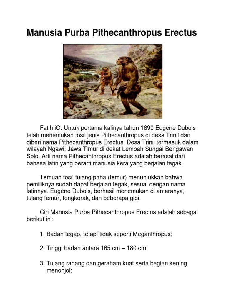 Manusia Purba Pithecanthropus Erectus | PDF