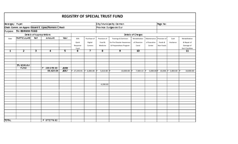 BDRRM Fund Utilization Report | PDF