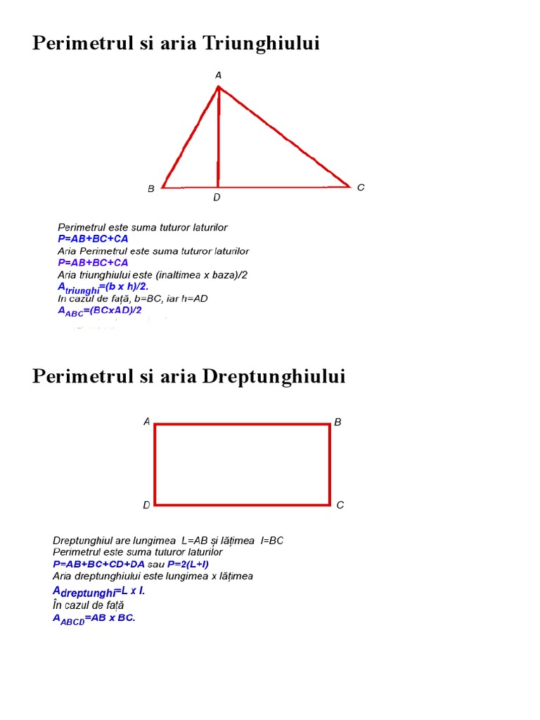 Perimetrul Si Aria | PDF
