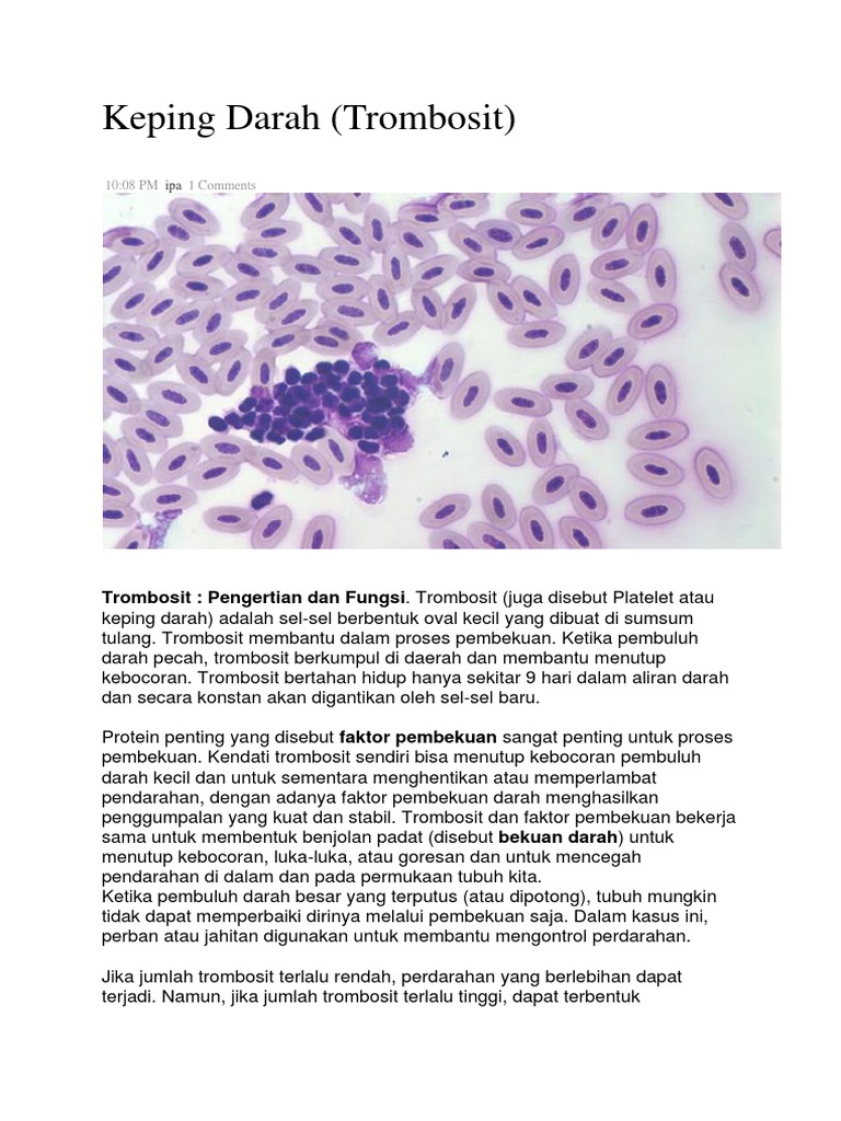 Keping Darah Trombosit | PDF | Sains & Matematika