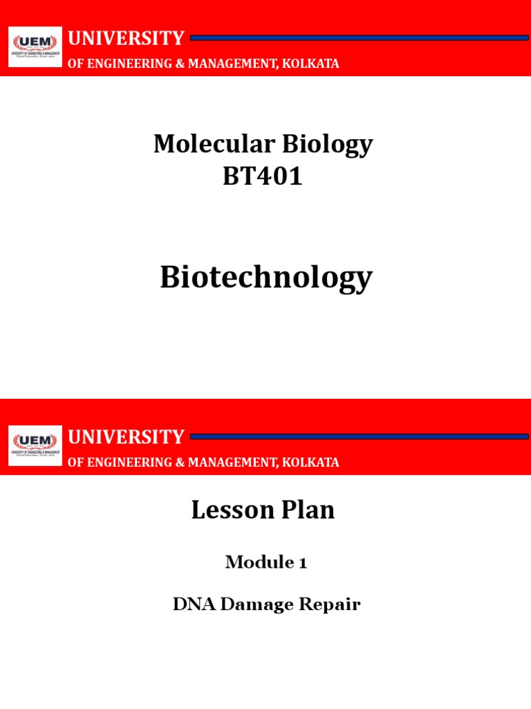 Molecular Biology BT401: Biotechnology | PDF | Dna Repair | Dna