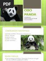 Tipos de Pandas | PDF | Panda gigante | Osos