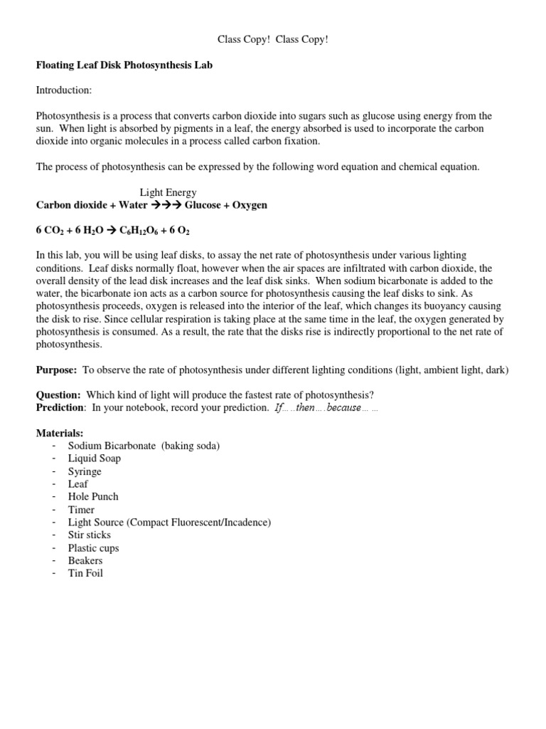 The Effect of Light Intensity on the Rate of Photosynthesis: A Floating ...