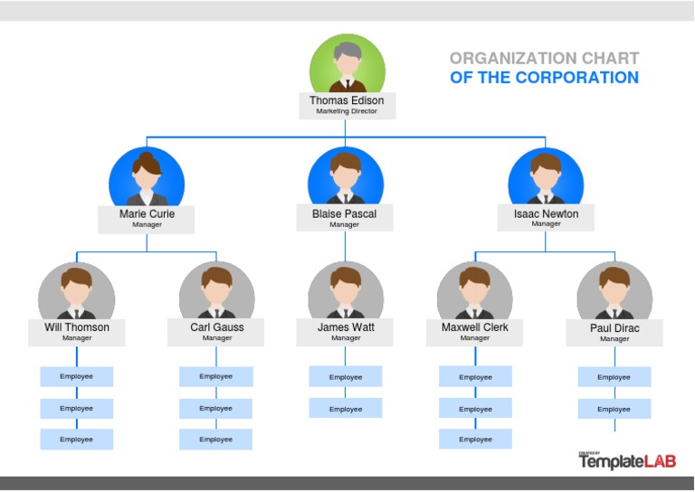 Of The Corporation: Organization Chart | PDF