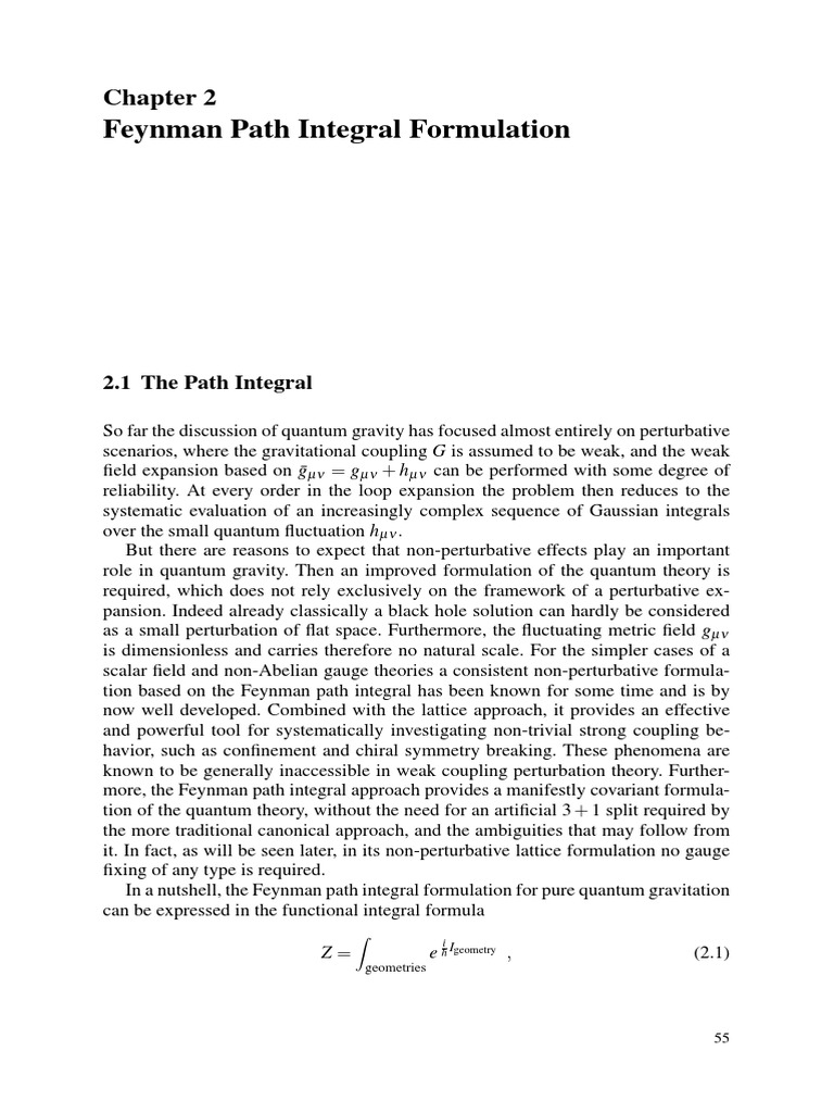 Feynman's Path Integral | PDF | Gauge Theory | Quantum Mechanics