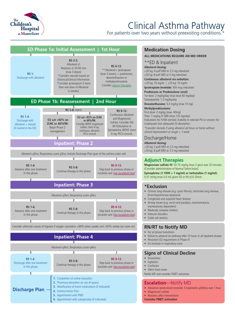 Asma | PDF | Magnesium | Asthma