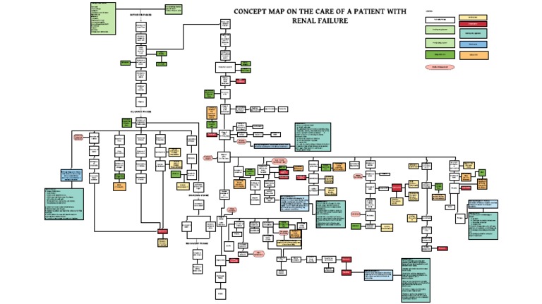 Concept map on renal failure | Renal Function | Creatinine