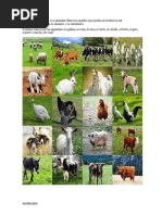 5 Animales Perjudiciales y 5 Utiles Animados | PDF