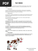 Ciclo de Vida de La Vaca | PDF | Vacas | Leche