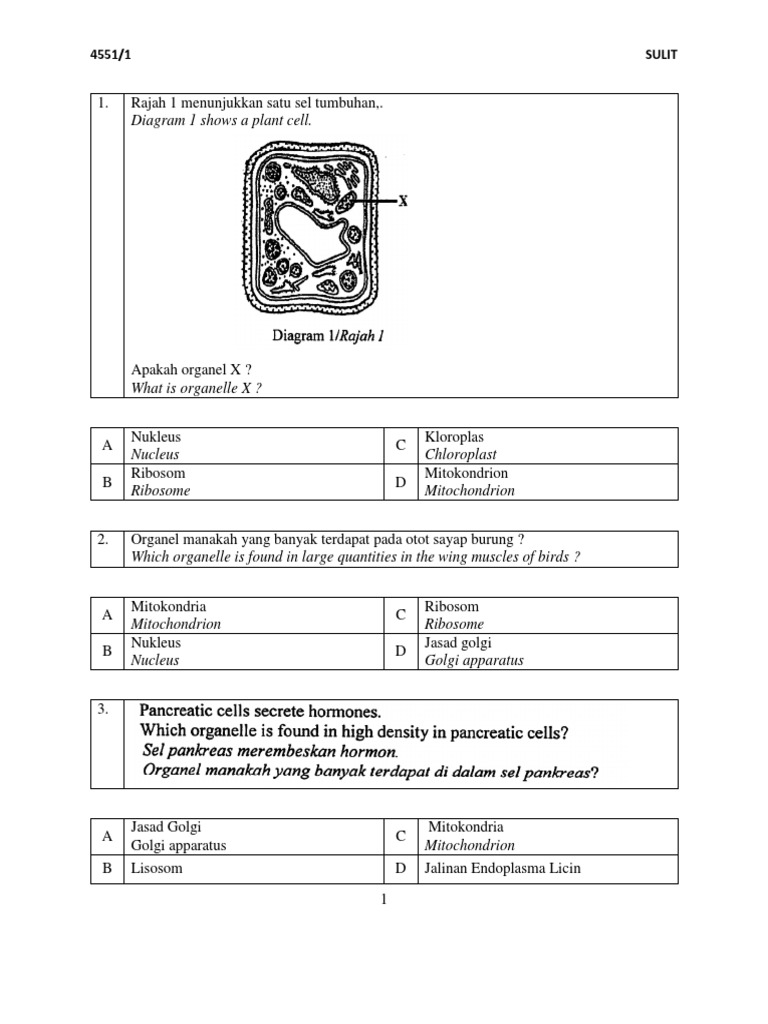 K1 Soalan | PDF | Cell Biology | Cell Anatomy