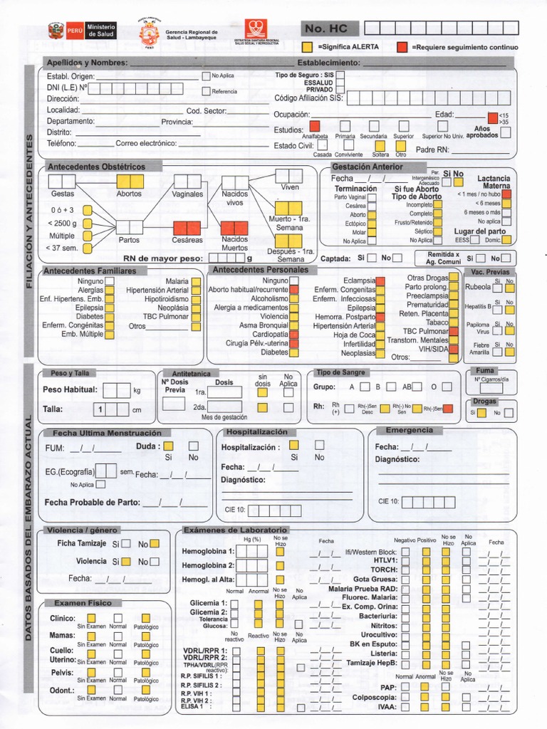Carnet de Control Prenatal | PDF